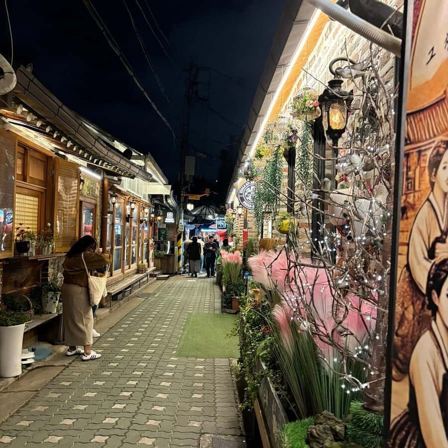 Seoul Evening Highlights: Ikseon-dong, Naksan & Bugak View - Who Is This Tour Best For?