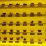 Seoul: Gyeongdong Market Healing Walking Tour - Authenticity and Value: What Makes This Tour Stand Out?