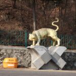 Seoul: Inwangsan Mountain and City Fortress Wall Hiking Tour - The Practical Side: Value, Duration, and Group Size