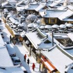 Seoul: Jeonju Hanok Village & Daedunsan Snowy Nature Tour - The Value of This Tour