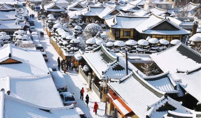 Seoul: Jeonju Hanok Village & Daedunsan Snowy Nature Tour - The Value of This Tour