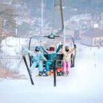 Seoul: Jisan Forest Ski Resort and Everland 1 Day Tour - What travelers say