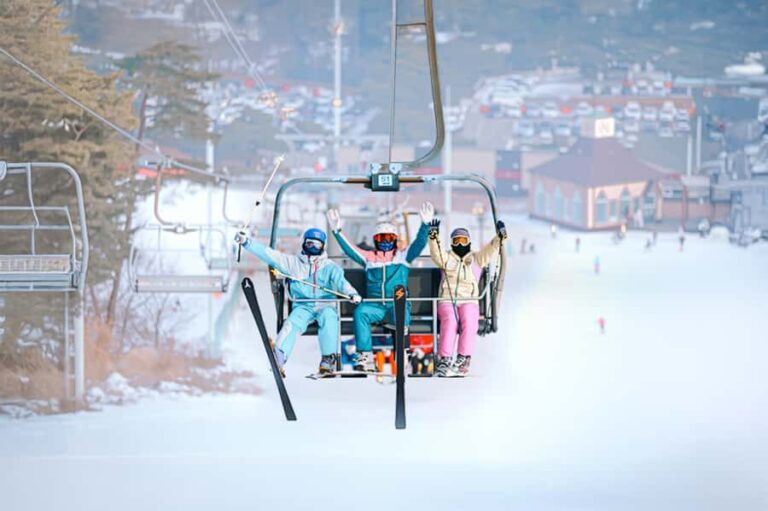 Seoul: Jisan Forest Ski Resort and Everland 1 Day Tour - What travelers say