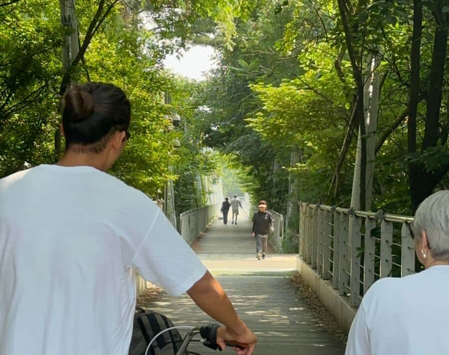 Seoul: Morning Bike Tour along the Han River with a Local - What the Experience Means for You