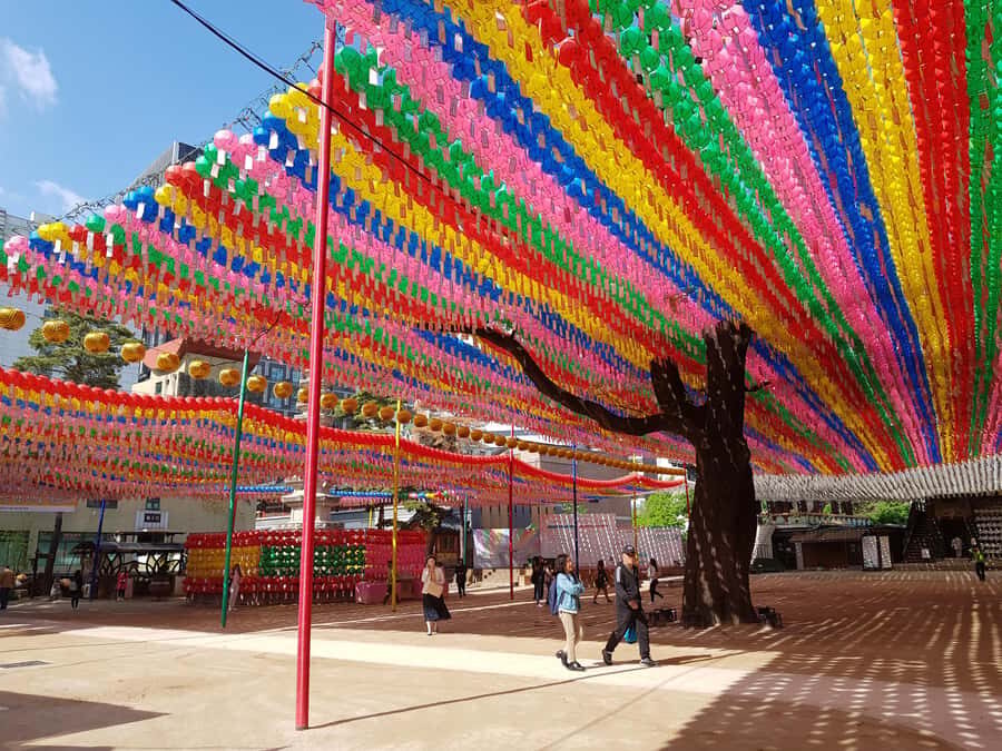 Seoul: Morning Gyeongbok Palace, Folk Museum, Temple Tour - What Makes This Tour Stand Out?