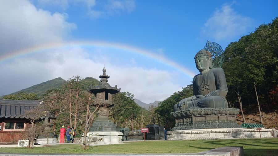 Seoul: Mt.Seorak and Cherry Blossom Lake 1 day trip - What We Found Valuable About This Tour