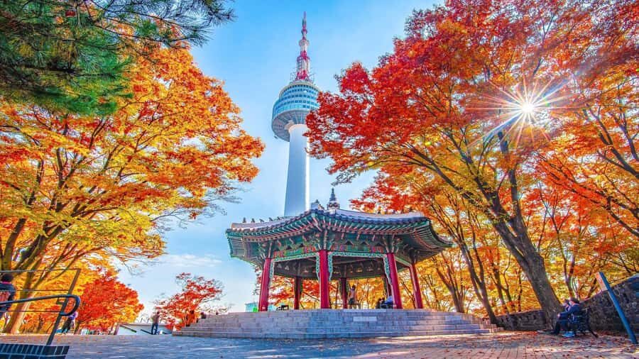 Seoul: N Seoul Tower Observatory & Cable Car Combo Ticket - What Makes the View Worth It