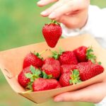 Seoul: Nonsan Strawberry & Cherry Blossom Season Experience - In-Depth Look at the Itinerary