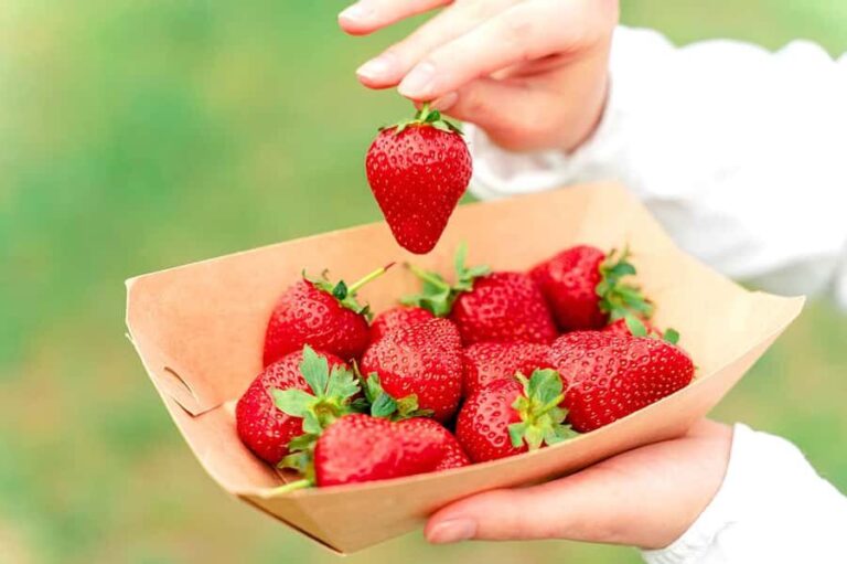 Seoul: Nonsan Strawberry & Cherry Blossom Season Experience - In-Depth Look at the Itinerary