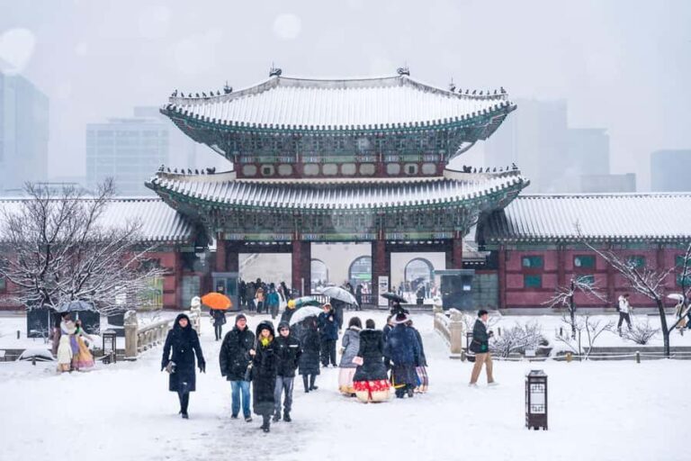 Seoul: Private City Tour with Guide and Photos - What You Can Expect on This Seoul Private Tour