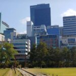 Seoul: Private Guided Tour to Royal Tombs, Temples, and More - Final Thoughts