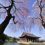 Seoul Private Tour Gyeongbok Palace Bukchon and Gwangjang Market - Who Should Consider This Tour?