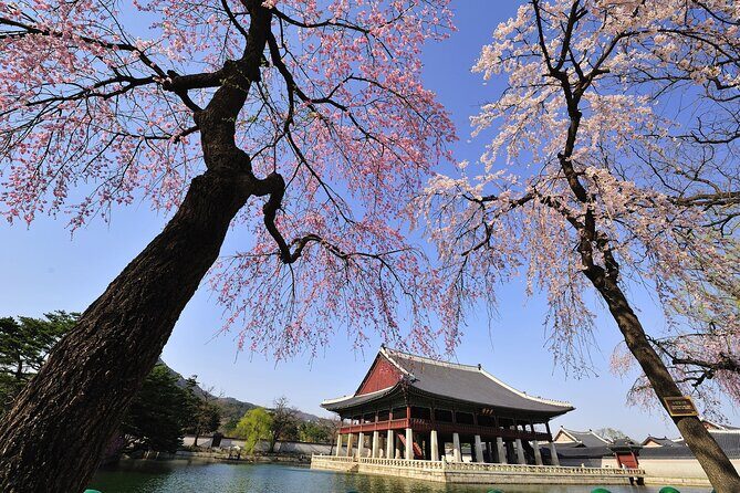 Seoul Private Tour Gyeongbok Palace Bukchon and Gwangjang Market - Who Should Consider This Tour?