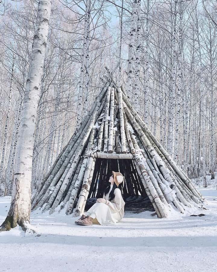 Seoul: Seorak Snowy Birch Forest & Maebawi Icewall Day Tour - What Makes This Tour Stand Out?