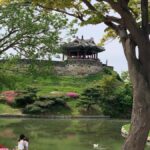 Seoul: Suwon History & Food Tour with Royal Tea and Dessert - Practical Details and Value