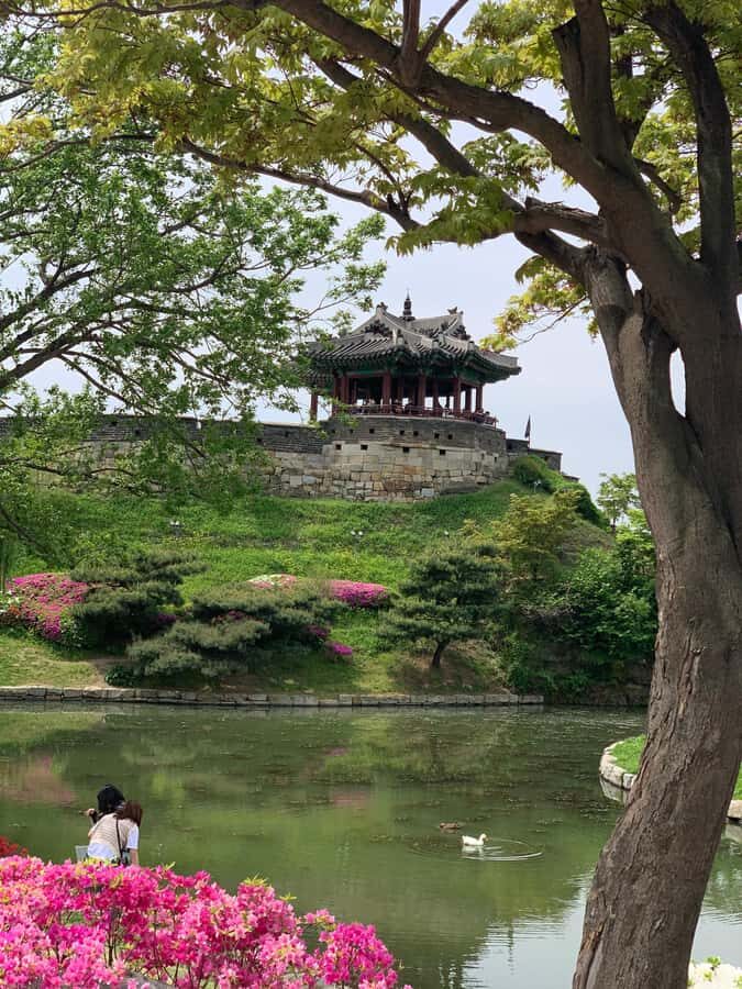 Seoul: Suwon History & Food Tour with Royal Tea and Dessert - Practical Details and Value