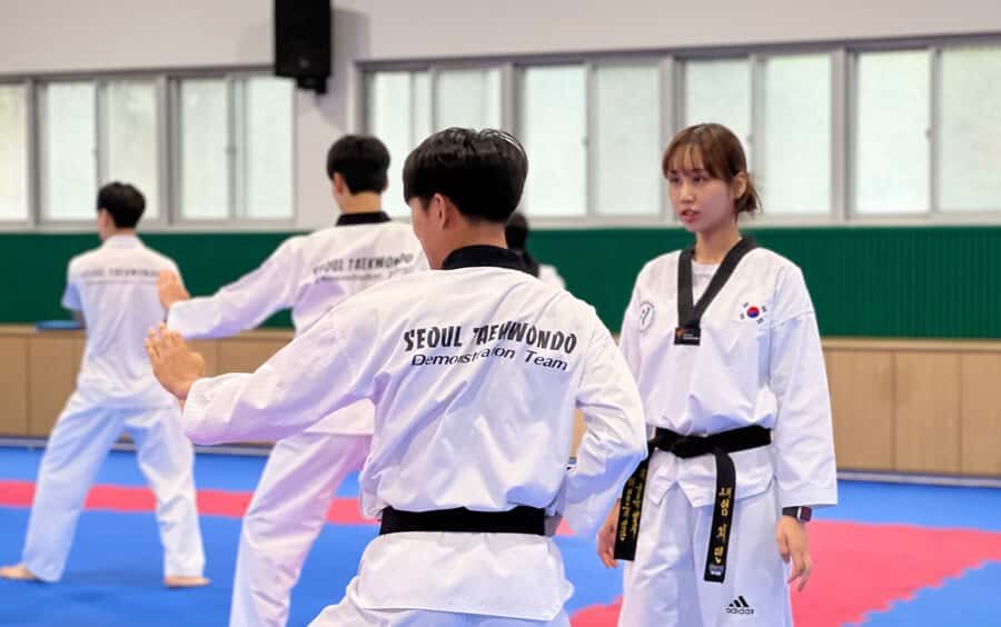 Seoul: Taekwondo Experience with National Champion - Practical Tips for Participants