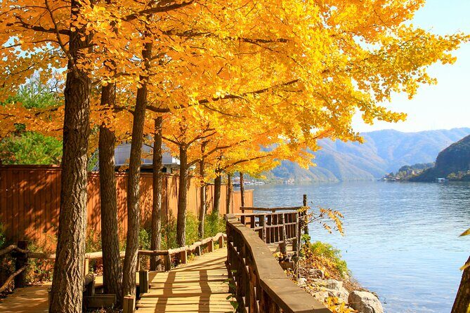 Seoul to/from Nami Island: Round trip Shuttle Bus Service