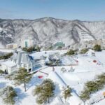 Seoul: Vivaldi Park Tickets for Snowyland Access, Shuttle - Final Thoughts: Who Will Love This Experience?