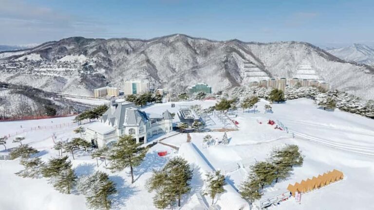 Seoul: Vivaldi Park Tickets for Snowyland Access, Shuttle - Final Thoughts: Who Will Love This Experience?
