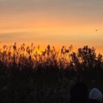 Seoul Winter Sunrise New Year Morning Experience - The Korean New Year Sunrise Experience