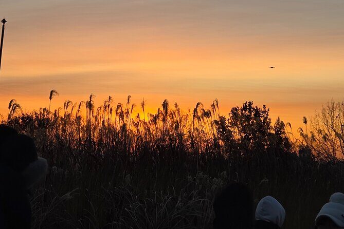 Seoul Winter Sunrise New Year Morning Experience - The Korean New Year Sunrise Experience