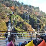 Seoul: Yeonhui Art Fair, Exhibition, Gallery Walking Tour - Practical Details: What to Expect