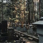 Serenity & Sacred Sites: Koyasan Full-Day Guided Walk - Who Will Love This Tour