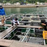 Setouchi Fishing and Culinary Adventure - Who Should Consider This Tour?