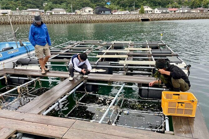 Setouchi Fishing and Culinary Adventure - Who Should Consider This Tour?