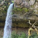 Seven Falls Hiking Tour at Silver Falls State Park - Exploring Silver Falls State Park: A Natural Oregon Treasure
