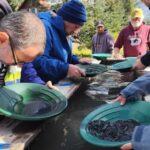 Seward: Exit Glacier Hike & Gold Panning Combo - How the Tour Ranks in Value and Experience