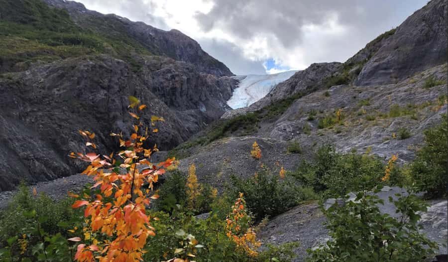 Seward: Exit Glacier Nature Hike with Scenic Views - The Itinerary: What to Expect