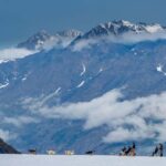 Seward: Heli Tour & Glacier Dogsled with 2 Landings - What Travelers Can Expect at Each Stage
