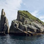 Seward: Kenai Fjords National Park Extended Glacier Cruise - The Route & Main Highlights