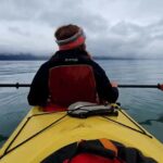 Seward: Tonsina Point Kayak & Exit Glacier Nature Hike - The Itinerary in Detail