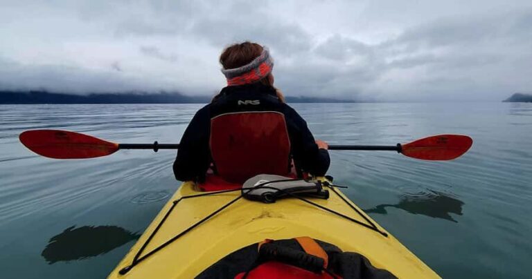 Seward: Tonsina Point Kayak & Exit Glacier Nature Hike - The Itinerary in Detail