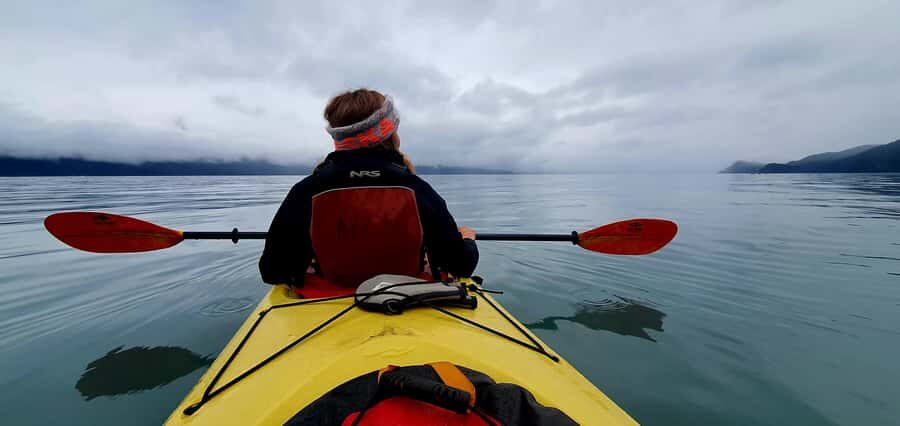 Seward: Tonsina Point Sea Kayaking Trip with Hotel Pickup - The Value of the Experience