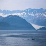 Seward Wildlife Explorer 60 minute Heli Flightseeing - The Experience and Its Practicalities