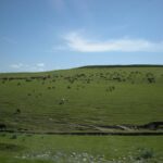 Shakhrisabz: Guided Historical Exploration Day Trip - Who Will Love This Tour?