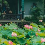 Shanghai: 7-Day Private Tour with Suzhou & Nanjing - Why This Tour Offers Great Value