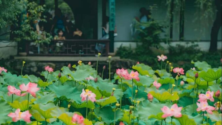 Shanghai: 7-Day Private Tour with Suzhou & Nanjing - Why This Tour Offers Great Value