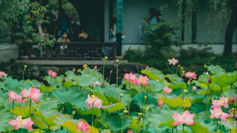 Shanghai: 7-Day Private Tour with Suzhou & Nanjing - Why This Tour Offers Great Value