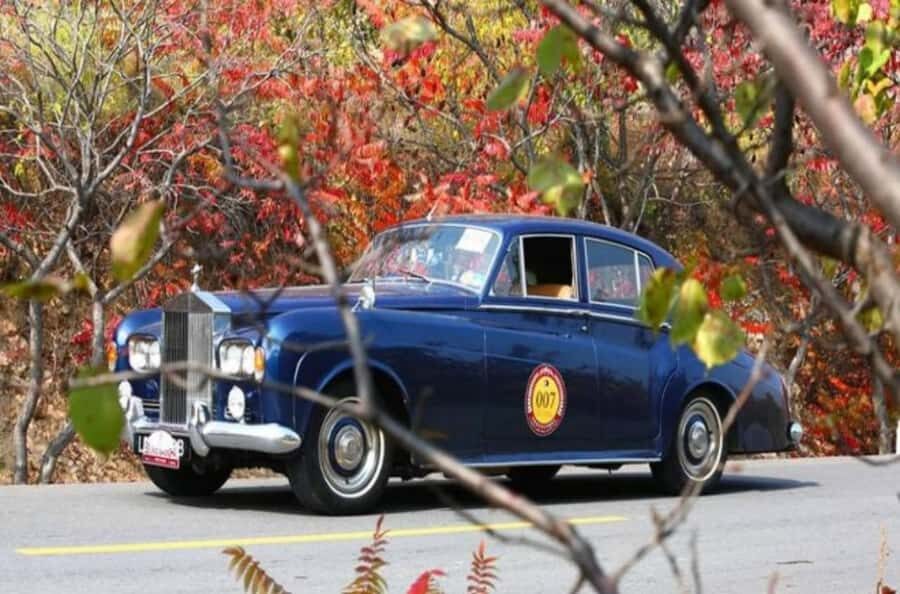 Shanghai Auto Museum Ticket --Old Classic Car Exhibition - The Highlights: Cars, Design, and Science