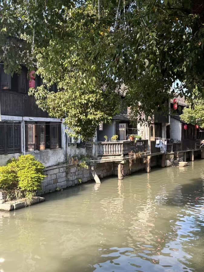 Shanghai: Fengjing Water Town Day Trip with Boat ride&Lunch - Practical Details and What to Know