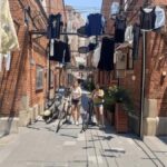 Shanghai: Guided Bike Tour with Baozi Tasting - Exploring Lilong Alleys and Local Life