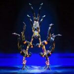 Shanghai: Journey Through Time and Space Acrobatics Show - Who Will Love This Show?