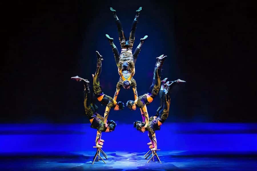 Shanghai: Journey Through Time and Space Acrobatics Show - Who Will Love This Show?