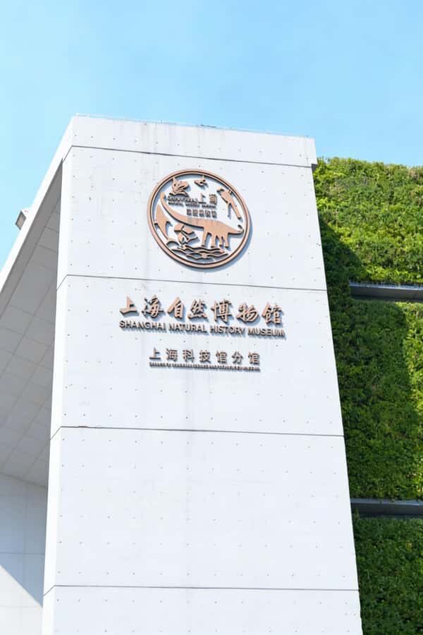 Shanghai Natural History Museum Entry Ticket - Who Will Love the Shanghai Natural History Museum?