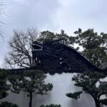 Shanghai Private Guided Tour: Old & Modern Scenic Views - The Experience and What It Means for You